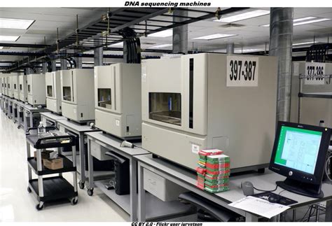 Extracteur Dadn SociÉtÉ De Recherche Et DÉveloppement