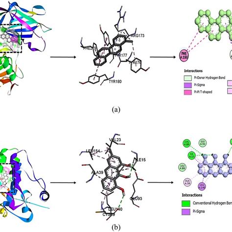 A Interaction Diagram Of 1 Methylchrysene With 5bzx B Interaction