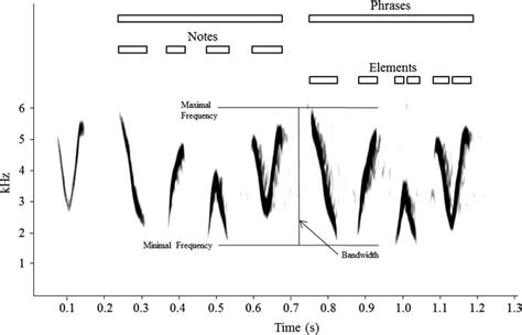 Representative Sonogram Of Typical Song Type H In This Example Of Download Scientific