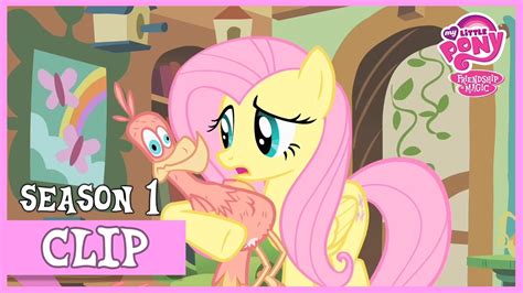 Taking Care Of Philomena A Bird In The Hoof Mlp Fim [hd] Youtube