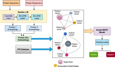 Workflow Informatics Corp On Linkedin Graph Bert And Language Model Based Framework For
