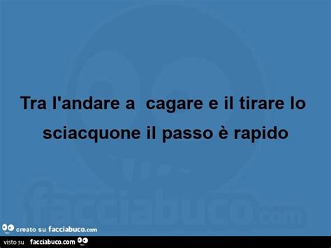 Tra Landare A Cagare E Il Tirare Lo Sciacquone Il Passo è Rapido