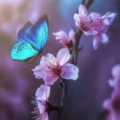 Duvvuri Madhavi Youtube