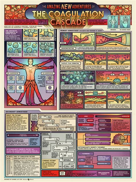 Complex Timeline Design On Behance