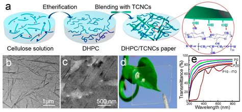 Application Of Biodegradable And Biocompatible Nanocomposites In Electronics Current Status And