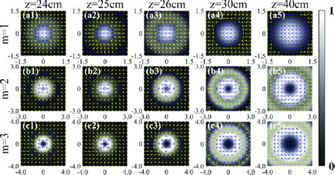 Variation Of The Polarization State Of A Pcrpvcab At Several
