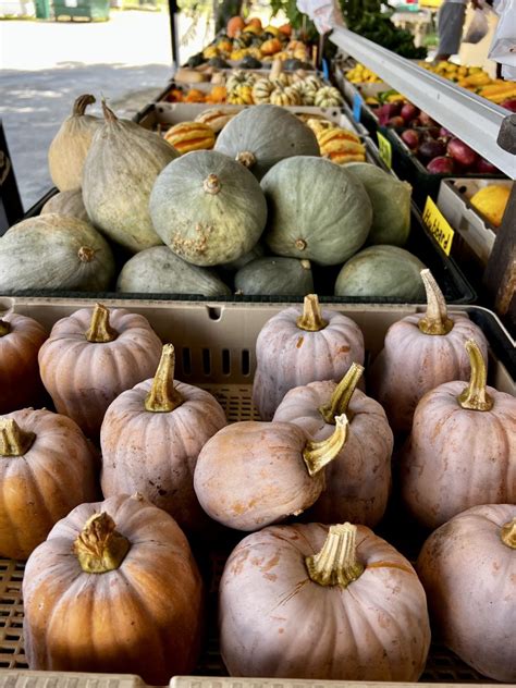 Two Cooks Three Squashes Seven Recipes For The Season The Bittman Project