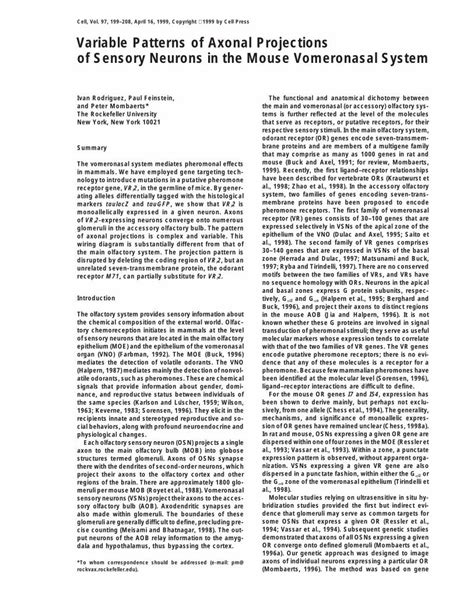 Pdf Variable Patterns Of Axonal Projections Of Sensory Neurons In The