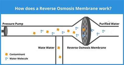 Does Reverse Osmosis Remove PFAS Living Whole