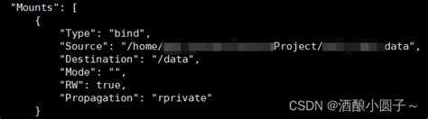 docker使用数据卷挂载进行数据存储与共享 docker挂载文件 会存双份吗 csdn博客