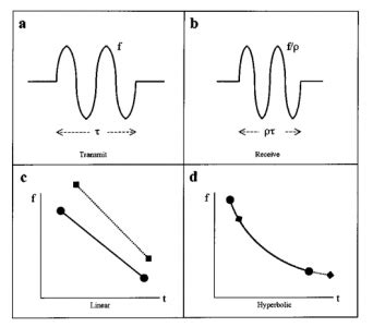 The DSP Behind Bat Echolocation Hunter Scott