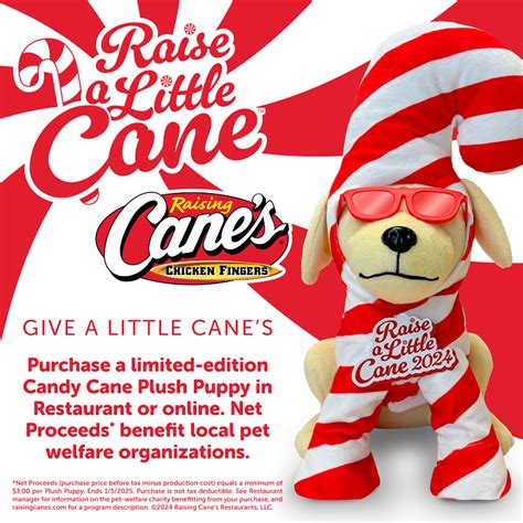 Raising Canes Holiday Plush Puppies Support Dfw Pet Welfare Organizations
