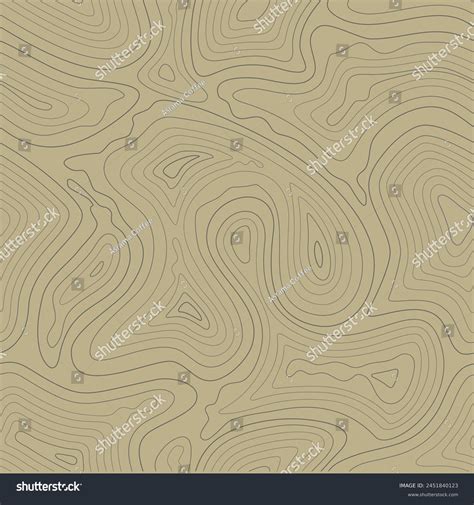 Seamless Vector Topographic Map Background Line Stock Vector Royalty Free 2451840123
