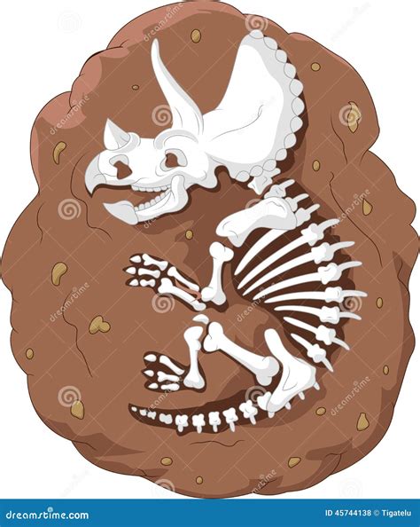 Cartoon Triceratops Fossil Stock Vector Illustration Of Rock 45744138