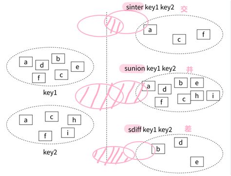Redis7 Set 命令 集合 用户画像 Uv