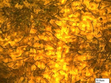 Metallurgical Engineering On Linkedin Microstructure Of Gray Cast Iron