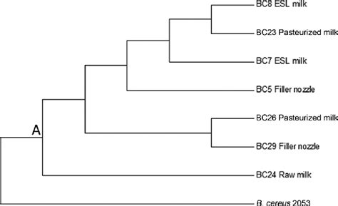multilocus sequence typing mlst profiles using 5 housekeeping alleles
