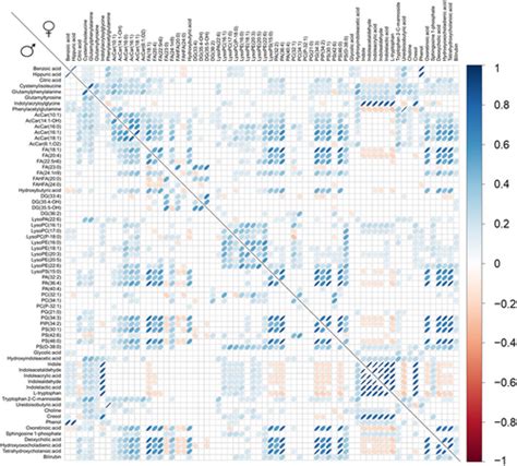 Plasma Acylcarnitines And Gut‐derived Aromatic Amino Acids As Sex‐specific Hub Metabolites Of