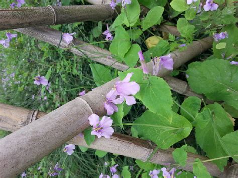 新人报道 建筑摄影 筑龙建筑设计论坛