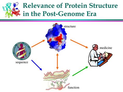 Ppt Introduction To Structural Bioinformatics Powerpoint Presentation Id 4049135