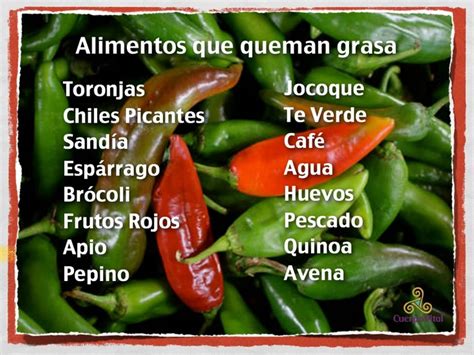 Alimentos Que Queman Grasa