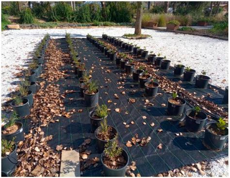 Cleantech Openaccess Cleantechnologies Renewableenergy