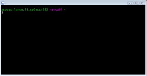 window下通过msys2编译libx264 lib windows下msys编译newlib csdn博客