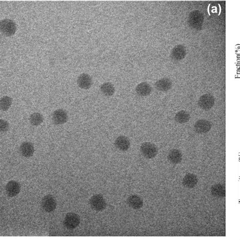 Waxd Diffraction Patterns Of A Hollow Sno2 Nanoparticles B Neat Pani