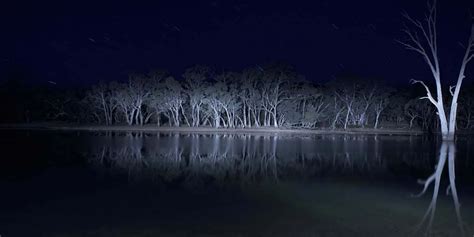 Lake Mungo Has The Scariest Plot Twist Ever