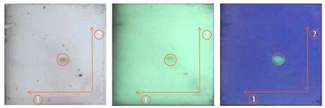 Two Dimentional Reversed Phase Thin Layer Chromatogram Of The Isolate