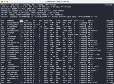Mac Terminal Commands Every User Should Know