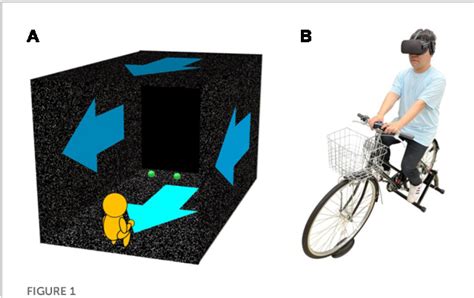 Figure 1 From Visual Self Motion Information Contributes To Passable