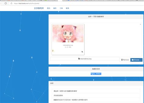 2023红明谷杯misc方向wp 红明谷杯2023 misc csdn博客