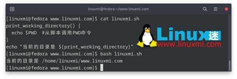 编写 Bash 脚本所需知道的一切 Linux迷