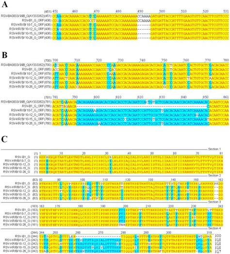 The G ORF Sequences Of Four HRSV B Isolates Were Compared With Those Of Download Scientific