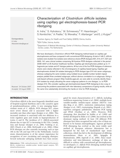Pdf Characterization Of Clostridium Difficile Isolates Using Capillary Gel Electrophoresis