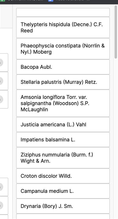 Hydration Mismatch When Using V For To Render A Collection Developer Corner Weweb Community