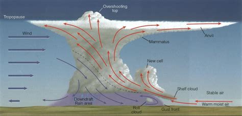 Convective Clouds Charlies Weather