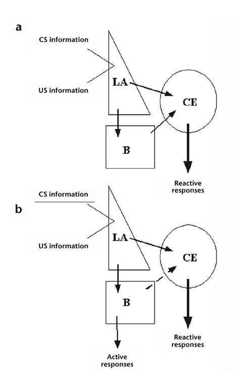 Models Of Fear Conditioninga The Traditional Model Of Information