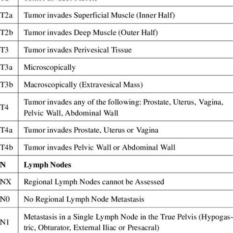 2009 Tumor Nodes Metastasis Tnm Classification Of Urinary Bladder Download Table