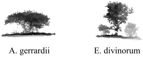 论文审查 Pctrees 3d Point Cloud Tree Species Classification Using
