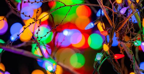 عکس تصویر پس زمینه عکس نودی