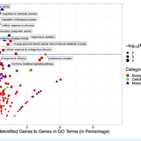 gene ontology go enrichment analysis of 77 transcripts containing