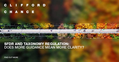 Sfdr And Taxonomy Regulation Does More Guidance Mean More Clarity