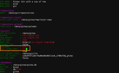 Gitea——私有git服务器搭建详细教程 Csdn博客