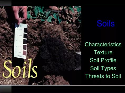 PPT Soils PowerPoint Presentation Free Download ID