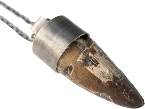 Huge Fossilized Crocodile Tooth Necklace Dark Silver Fossilized