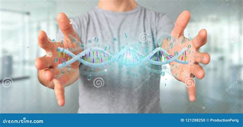 Man Holding A D Rendering Data Coded Dna With Binary File Around Stock Photo Image Of