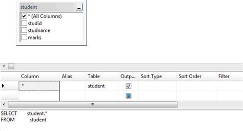 Report Integration With Microsoft Report Viewer Go Expert