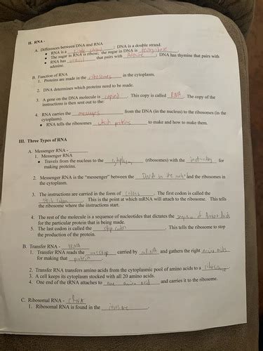 The Genetic Code Flashcards Quizlet